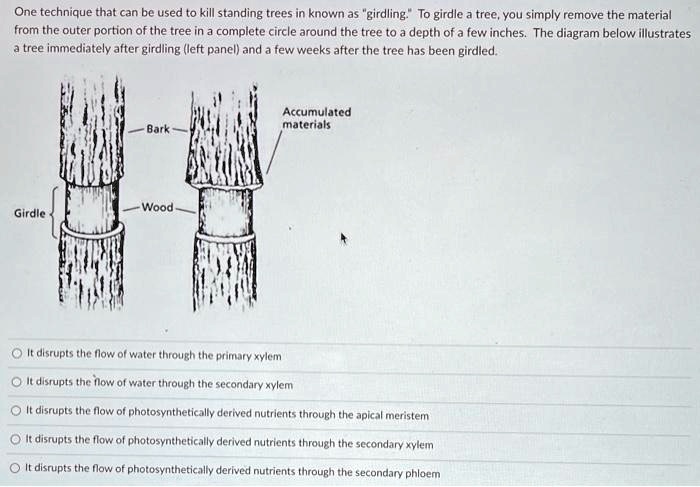 SOLVED:One technique that can be used to kill standing trees in known ...