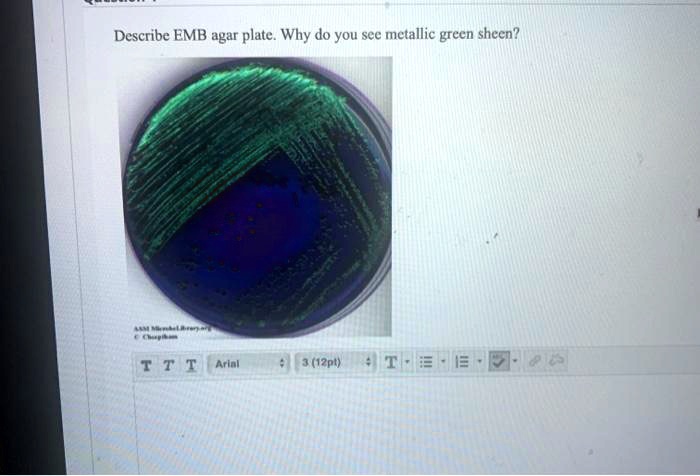 describe emb agar plate why do you see metallic green sheen t t t arlol ...