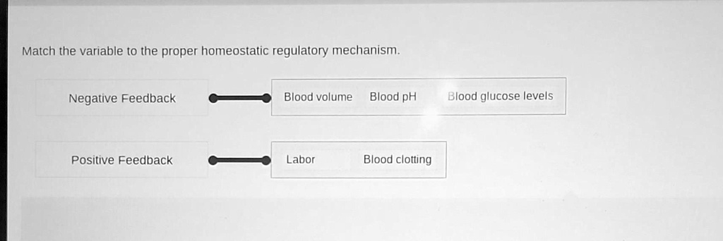 Match the variable to the proper homeostatic regulatory mechanism ...