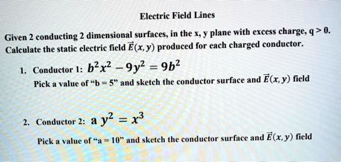 SOLVED: Electric Field Lines Given 2 conducting 2 dimensional surfaces ...