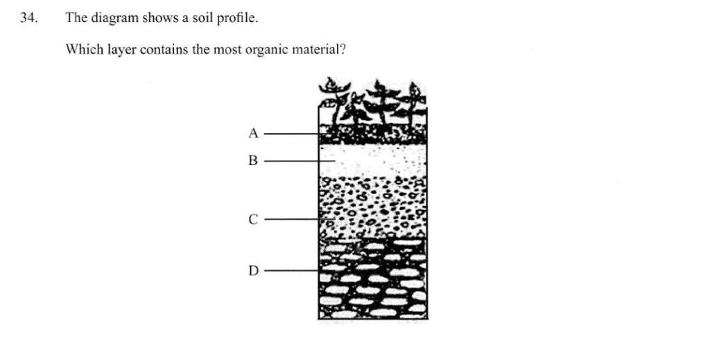 34. The diagram shows a soil profile. Which layer contains...