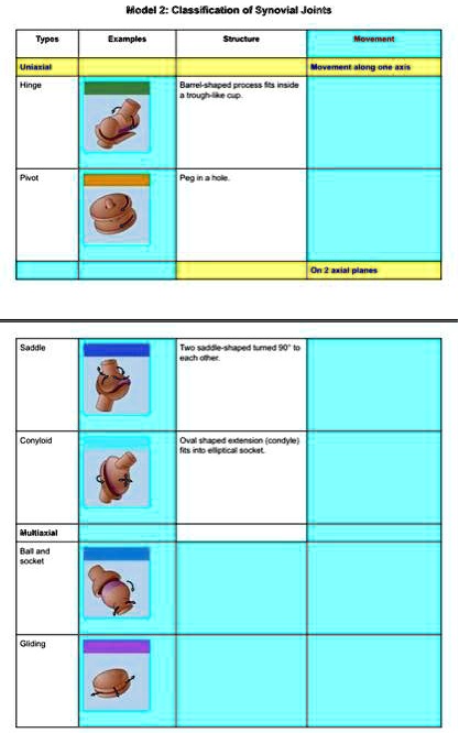 Model 2: Classification of Synovial Joints Types Examples Structure ...