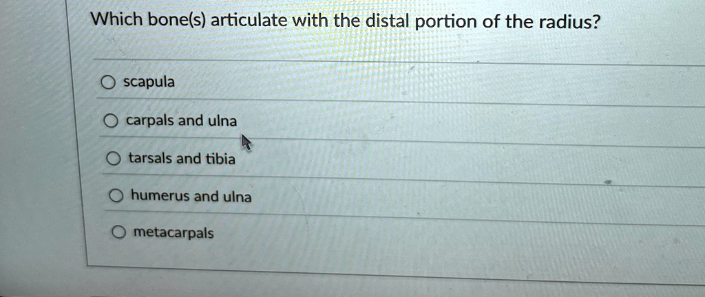 Which bone(s) articulate with the distal portion of the radius ...