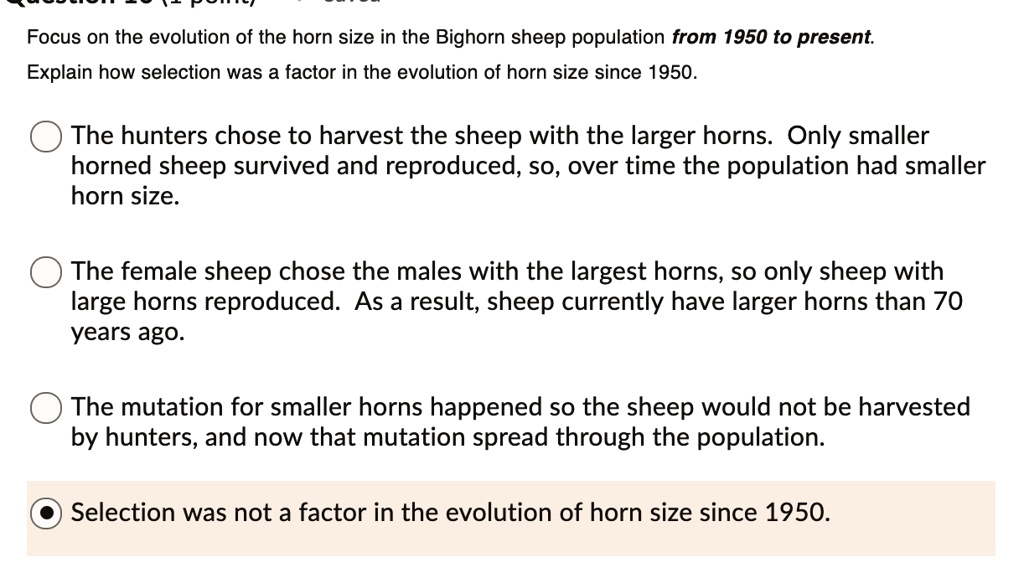 SOLVED: Focus on the evolution of the horn size in the Bighorn sheep ...