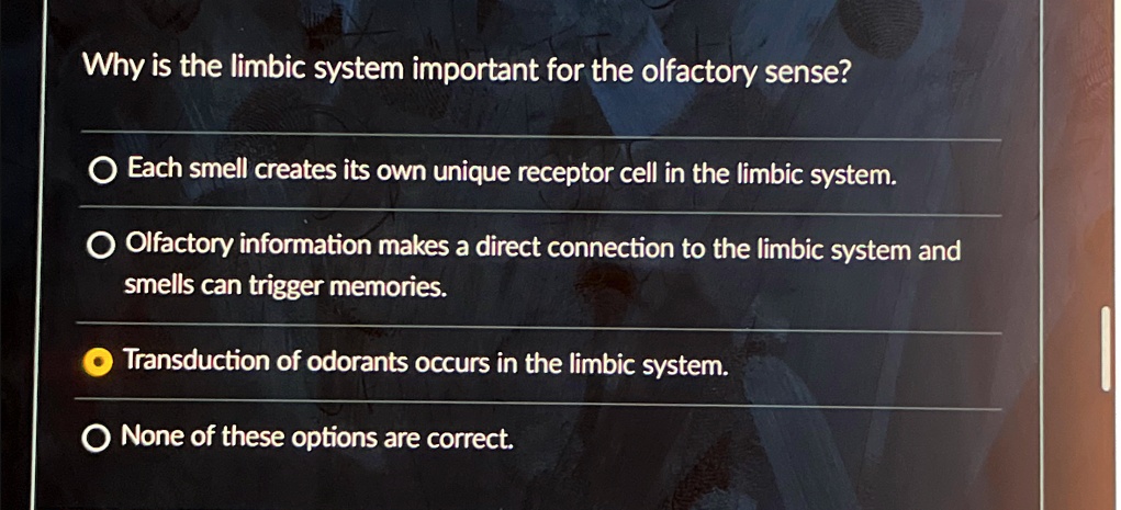 SOLVED: Why is the limbic system important for the olfactory sense ...