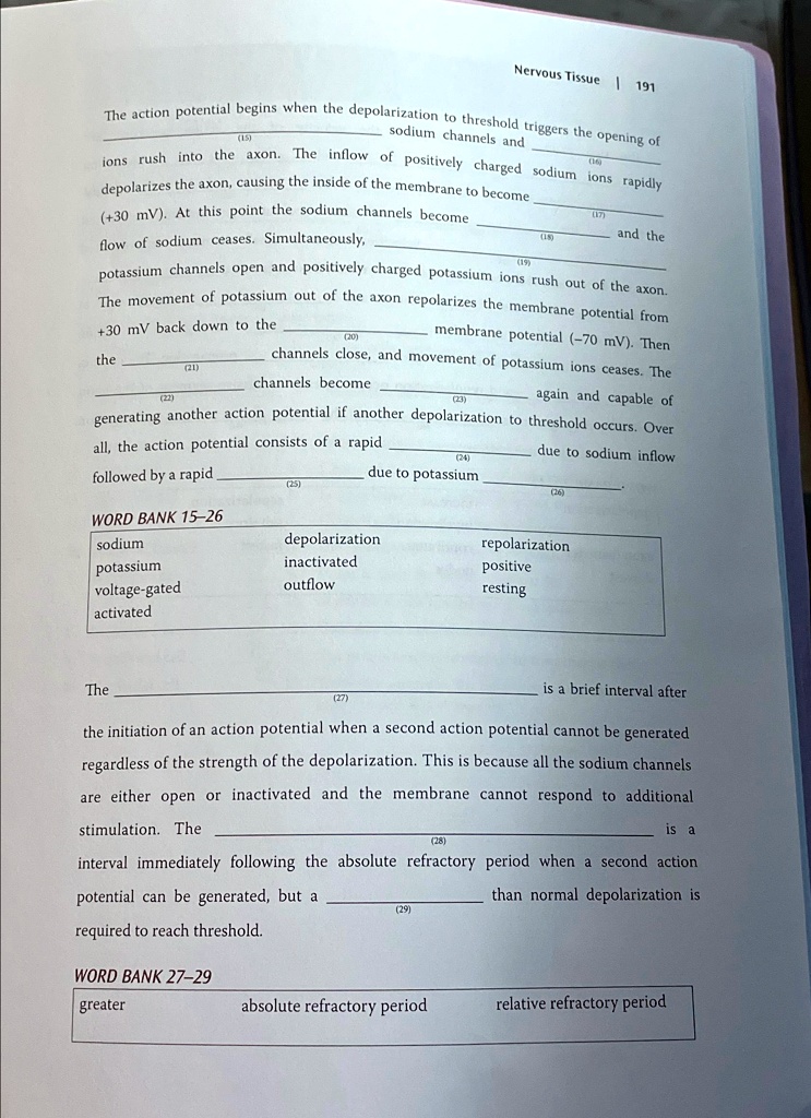 Nervous Tissue 191 The action potential begins when the depolarization ...