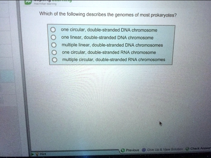 Solved Which Of The Following Describes Ihe Genomes Of Most Prokaryotes