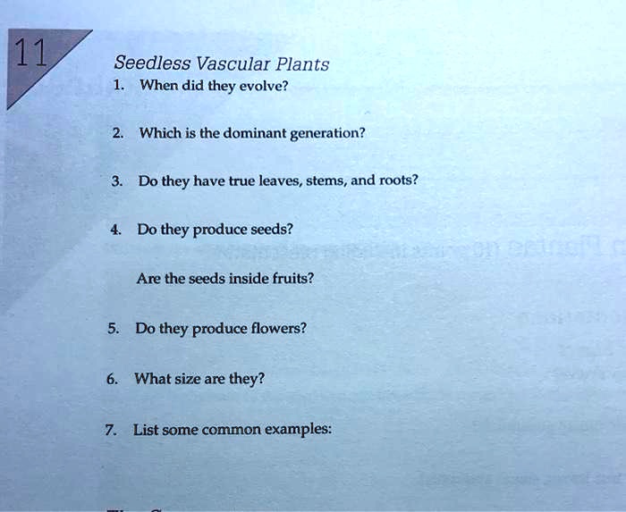 11 seedless vascular plants when did they evolve which is the dominant ...