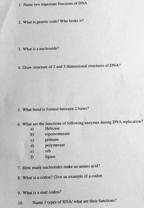 SOLVED: 1. Name two important functions of DNA. 2. What is the genetic ...