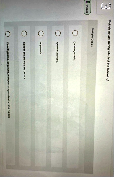 meiosis occurs during which of the following multiple choice ...