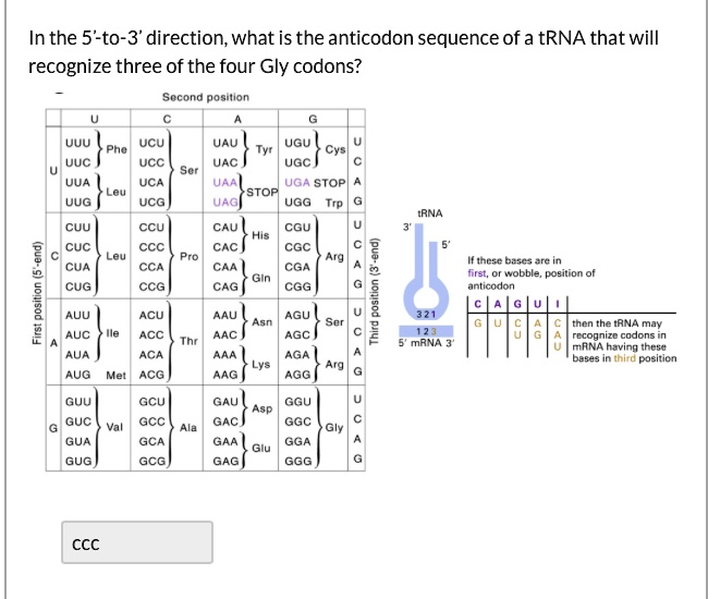 SOLVED: In the 5'-to-3' direction, what is the anticodon sequence of a tRNA that will recognize ...