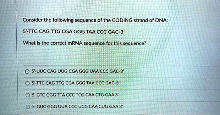 SOLVED:Consider the following sequence of the CODING strand of DNA: 5 ...