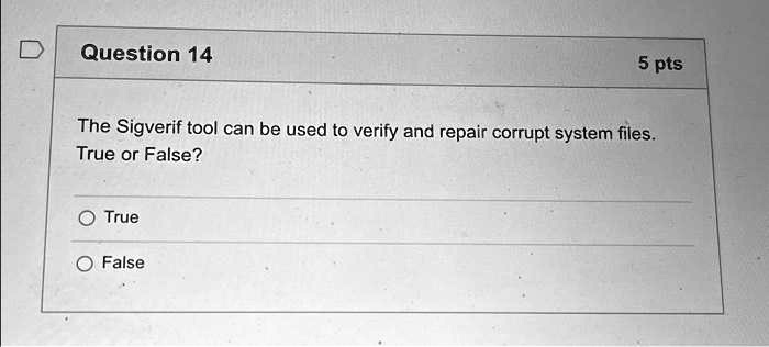 SOLVED: The Sigverif tool can be used to verify and repair corrupt system files. True or False ...