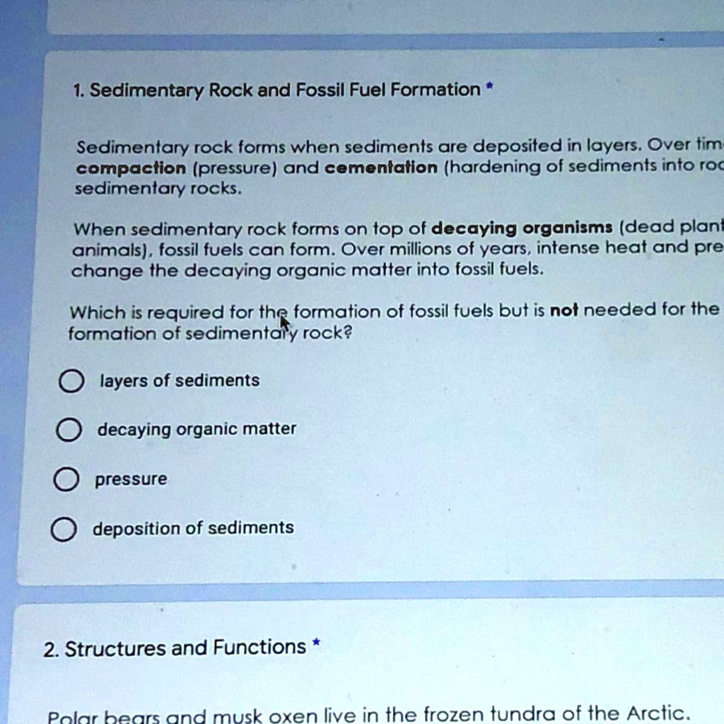please help due today 1 sedimentary rock and fossil fuel formation ...
