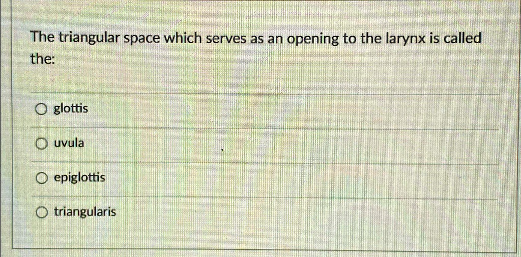 The triangular space which serves as an opening to the larynx is called ...