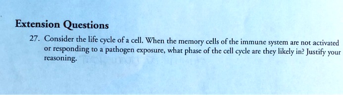 SOLVED:Extension Questions 27 . Consider the life cycle ofa cell, When ...