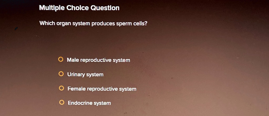 multiple choice question which organ system produces sperm cells male ...