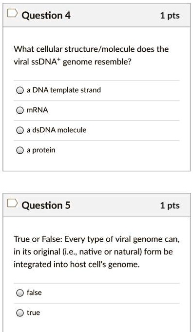 Question 4 1 pts What cellular structure/molecule does the viral ssDNA+ ...