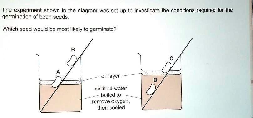 SOLVED: 'please answer and give explanation too!I will mark brainliest ...