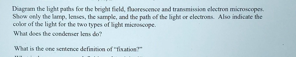 SOLVED: draw a diagram Diagram the light paths for the bright field ...