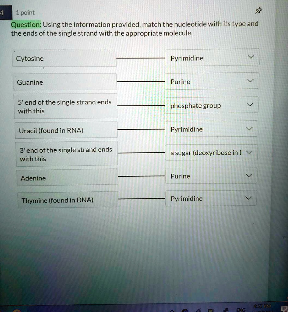 1 point question using the information provided match the nucleotide ...