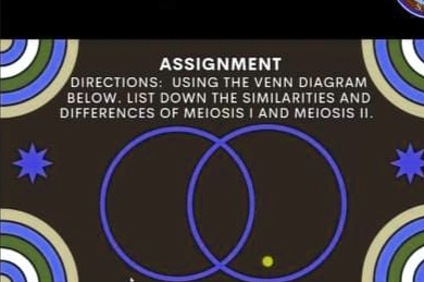 SOLVED: ASSIGNMENT DIRECTIONS: USING THE VENN DIAGRAM BELOW, LIST DOWN THE SIMILARITIES AND ...