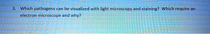 Which pathogens can be visualized with light microscopy and staining ...