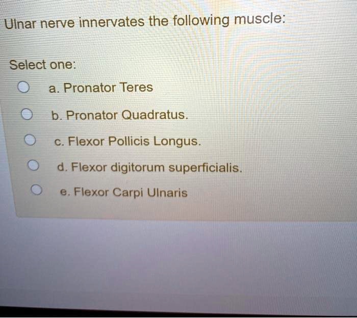 SOLVED: Ulnar nerve innervates the following muscles: a. Pronator Teres ...
