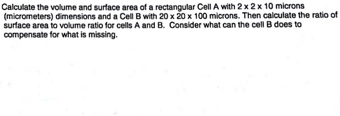 Calculate the volume and surface area of a rectangular Cell A with 2 x ...