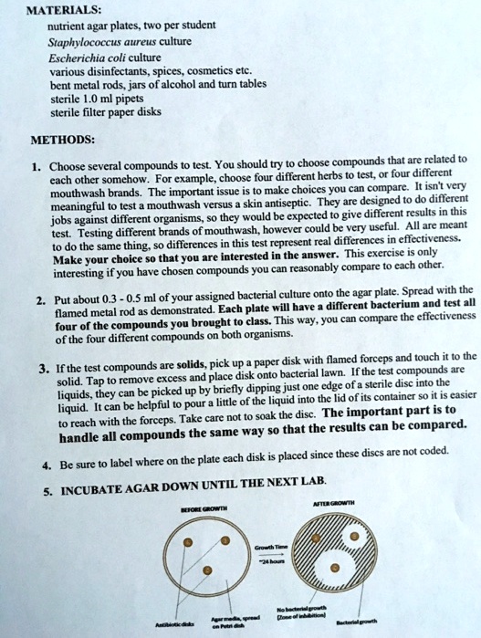 SOLVED: MATERIALS: nutrient agar plates; two per student ...