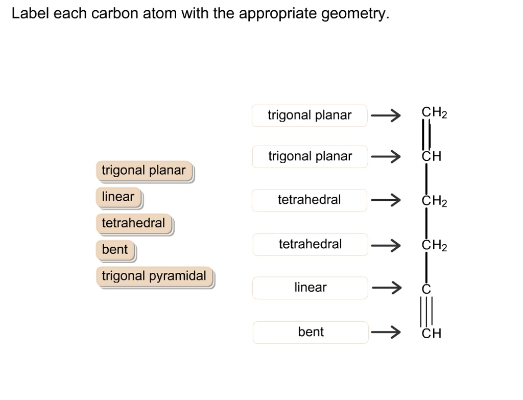 SOLVED: Label each carbon atom with the appropriate geometry: trigonal ... SOLVED: Label each carbon atom with the appropriate geometry: trigonal ...