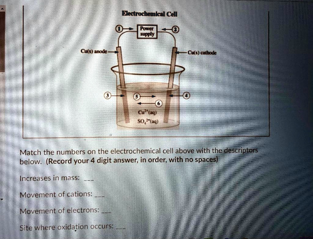 SOLVED: Electrochemical Cell Anode Cathode Cathode Anode Increases in ...