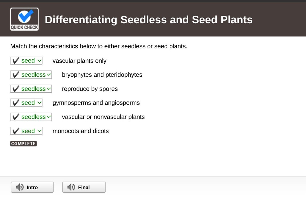 QUICK CHECK Differentiating Seedless and Seed Plants Match the ...