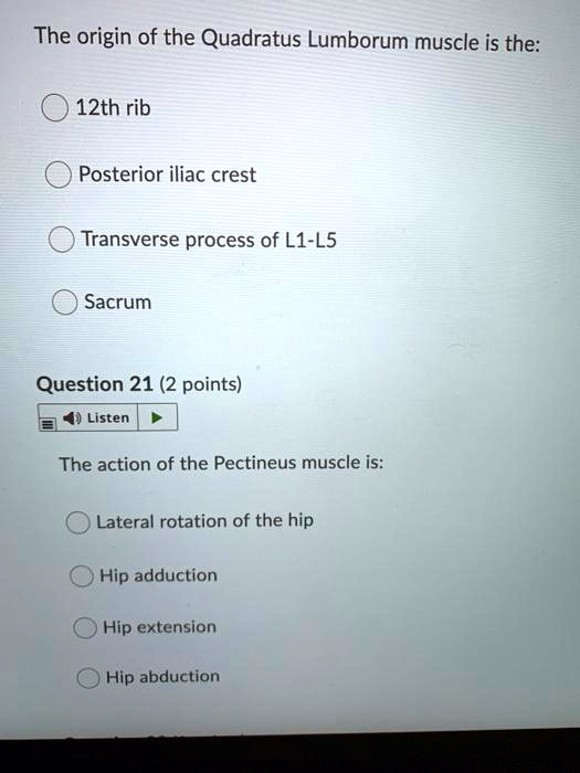 the origin of the quadratus lumborum muscle is the 12th rib posterior ...