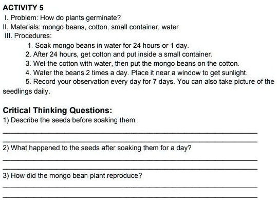 ACTIVITY 5 I. Problem: How do plants germinate? II. Materials: mongo ...