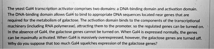 SOLVED: The veast Gal4 transcriphon activator comprises two domains ...