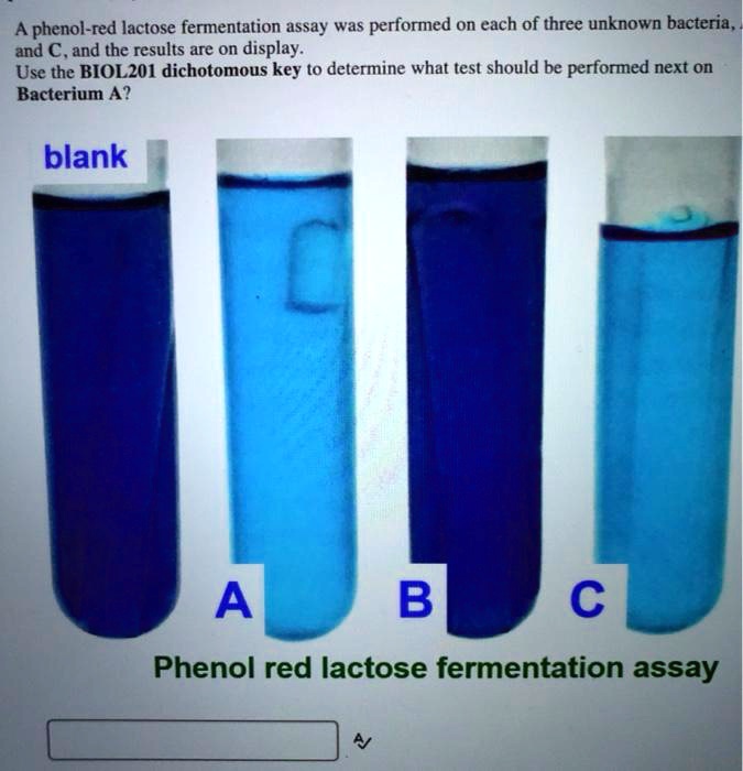 a phenol red lactose fermentation assay was performed on each of three ...