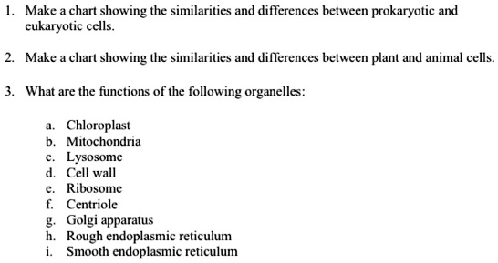 make chart showing the similarities and differences between prokaryotic and cukaryotic cells ...
