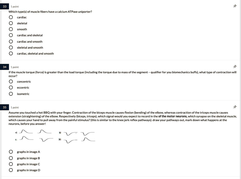 33 1 point Which type(s) of muscle fibers have a calcium ATPase ...