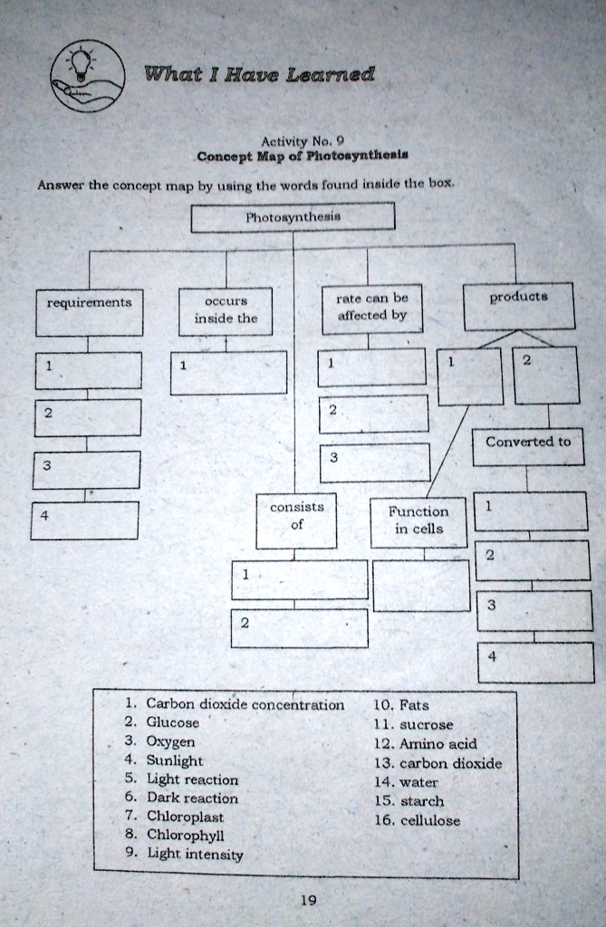 What I Have Learned Activity No. 9 Concept Map of Photosynthesis Answer ...