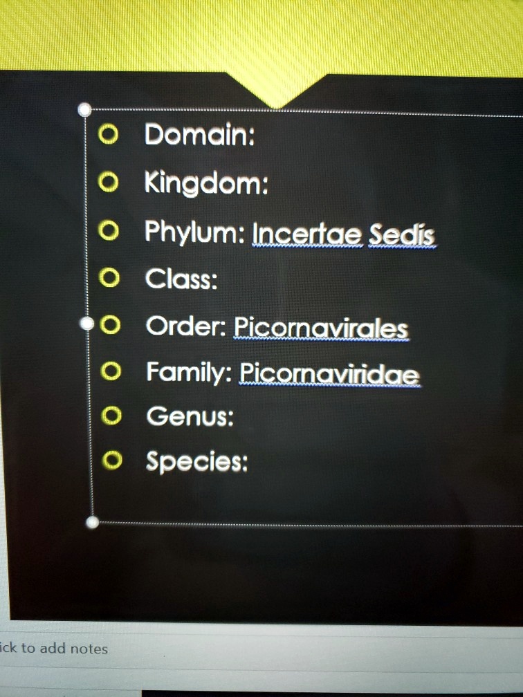 SOLVED:Domain: Kingdom: Phylum: Incertae Sedis Class: Order ...