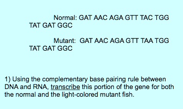 SOLVED: Normal: GAT AAC AGA GTT TAC TGG TAT GAT GGC Mutant: GAT AAC AGA ...