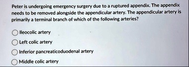 peter is undergoing emergency surgery due to a ruptured appendix the ...