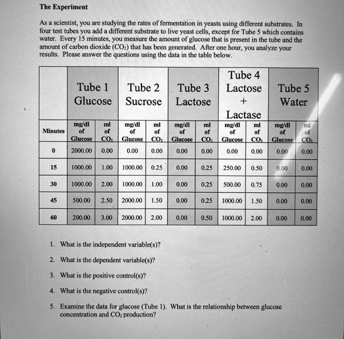 SOLVED: The Experiment scientist; YOu are Studying the rates of ...