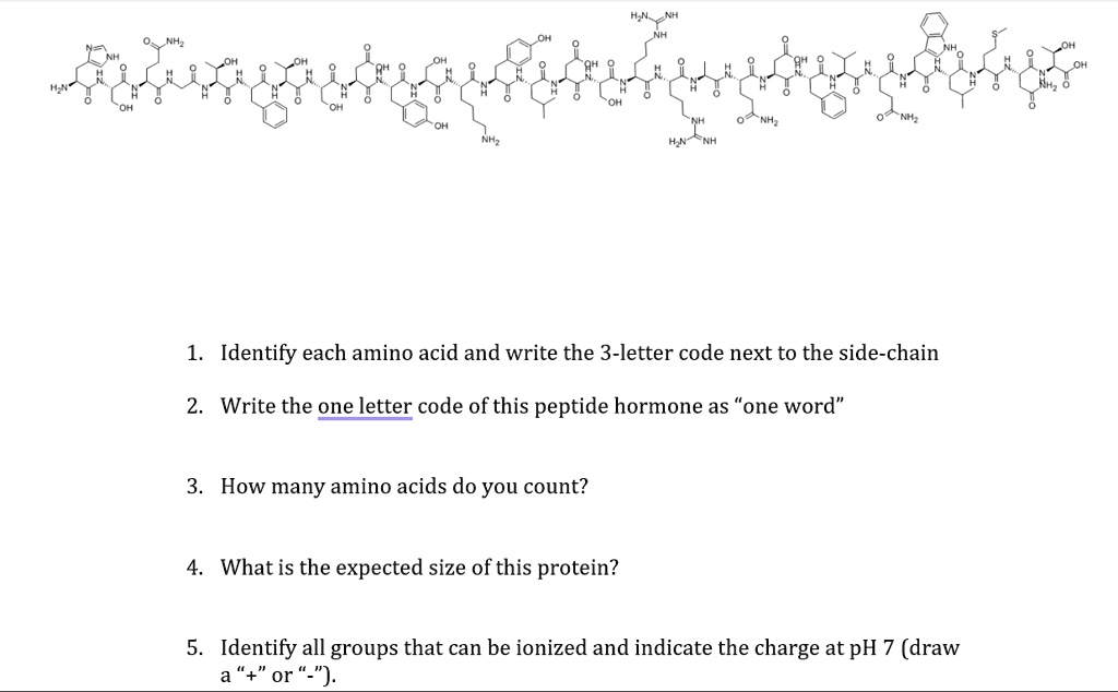 SOLVED: 1. Identify each amino acid and write the 3-letter code next to ...