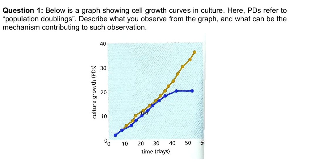 question 1 below is a graph showing cell growth curves in culture here ...