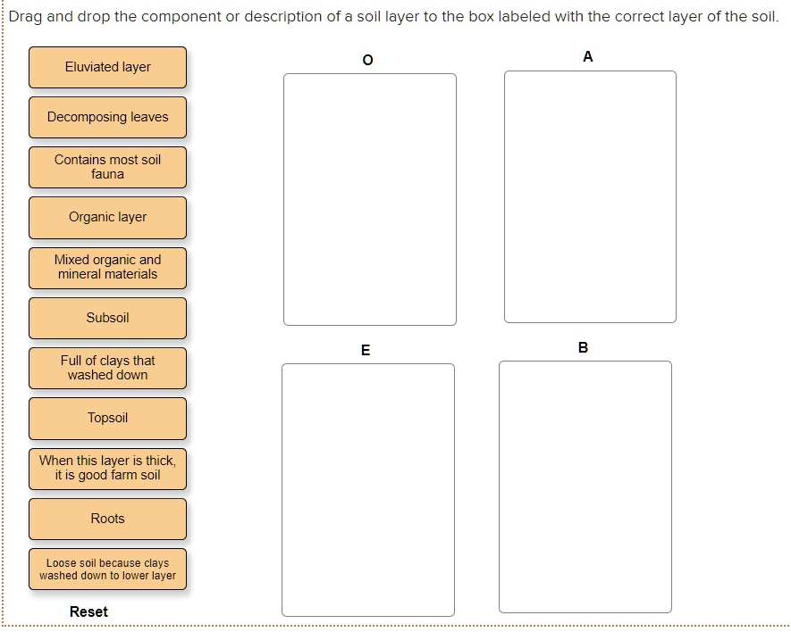 Drag and drop the component or description of a soil layer to the box ...