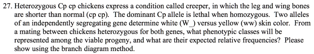 SOLVED: 27. Heterozygous Cp cp chickens express a condition called ...