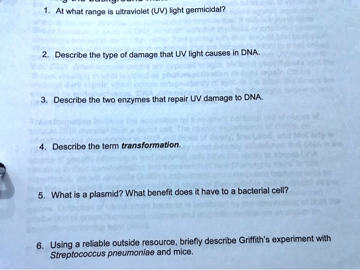SOLVED: At what range is ultraviolet (UV) light germicidal? Describe ...