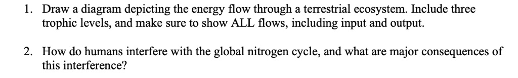 SOLVED: Draw a diagram depicting the energy flow through a terrestrial ...